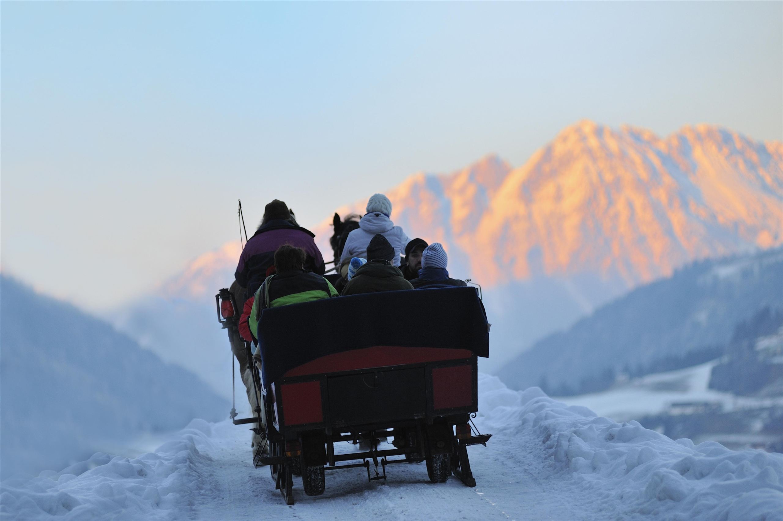 Fantastic horse-drawn sleigh ride
