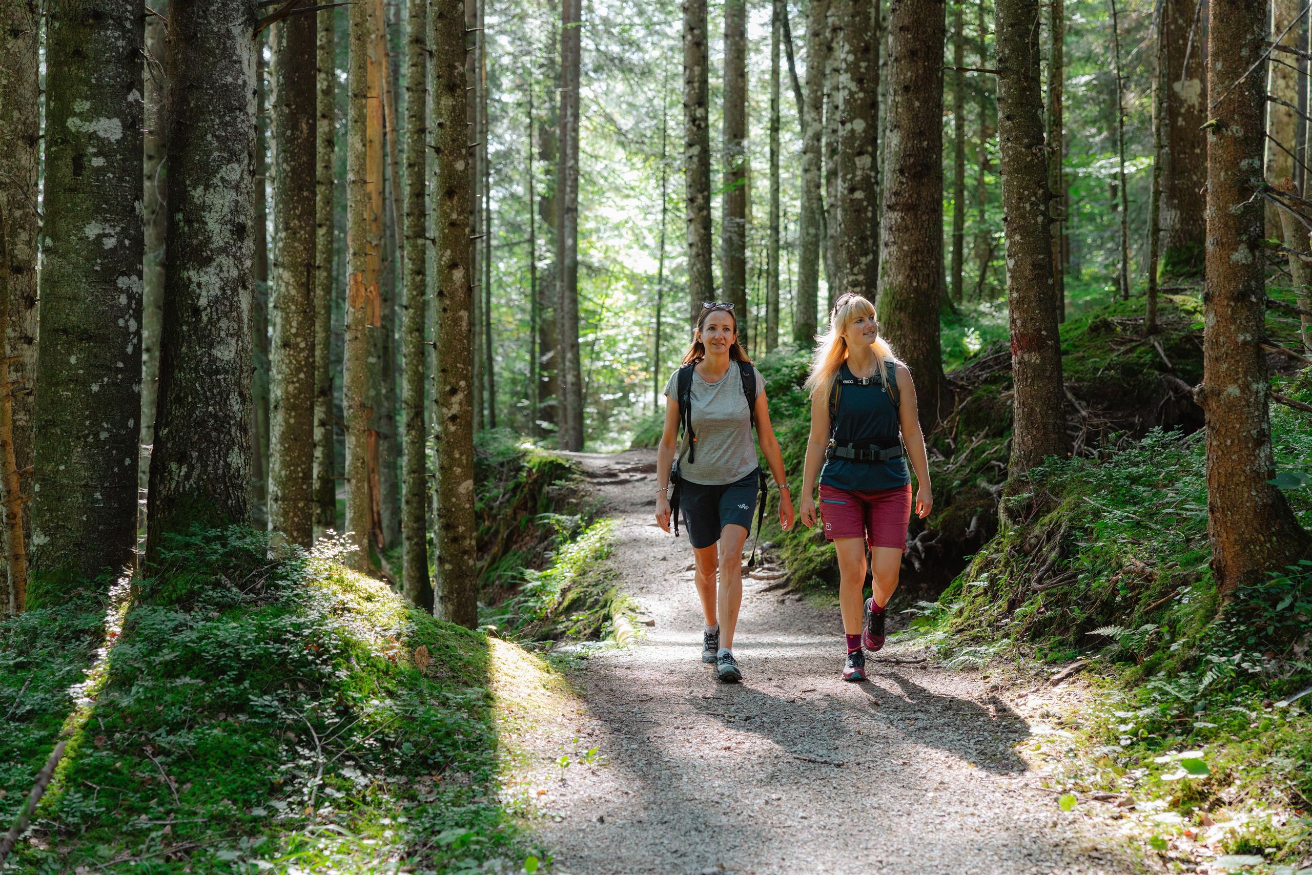 Forest Getaway - Relaxed Hiking & Forest Bathing